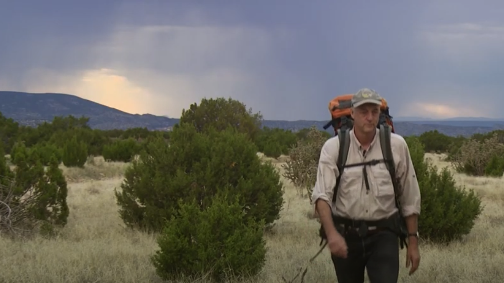 Bill Gilbert, Art in the Anthropocene - ¡COLORES!