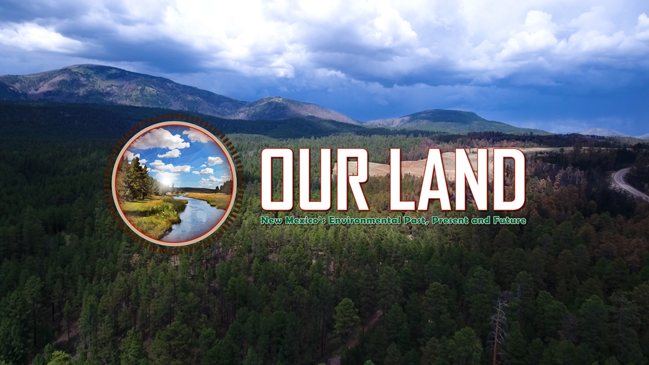 Our Land: Collaborative Forest Restoration - New Mexico In Focus