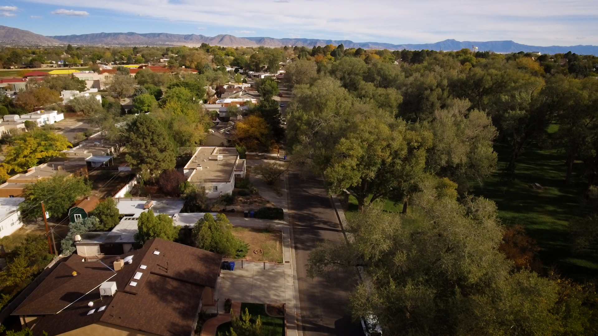 Our Land: Urban Forest Update - New Mexico In Focus