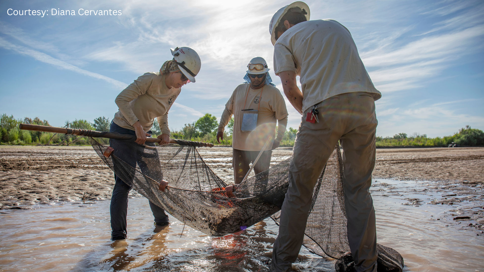Behind the Source New Mexico Series: ‘Crisis on the Rio Grande’ - New ...