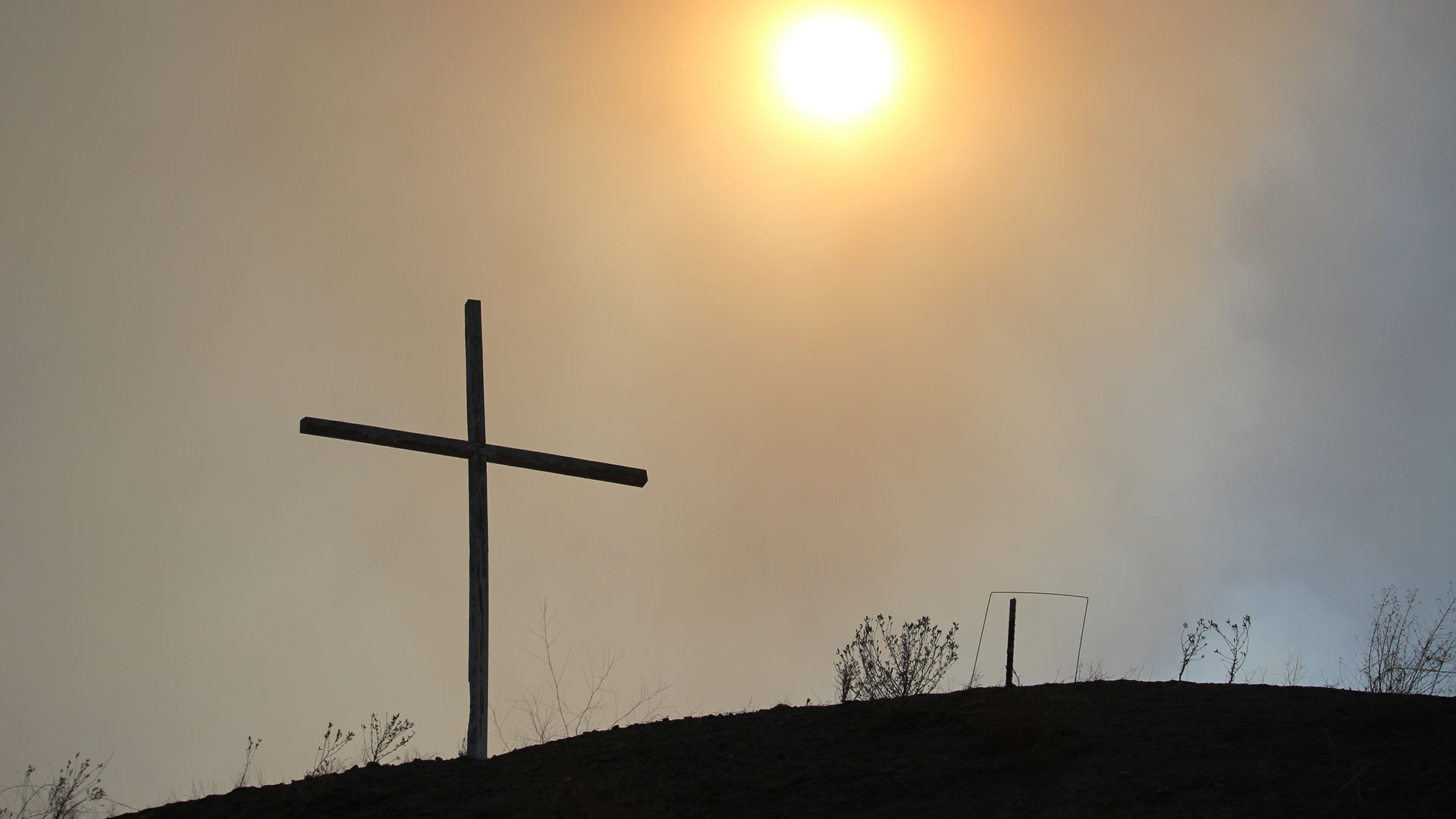 Coming up Friday: The U.S. Forest Service at the Table - New Mexico In ...