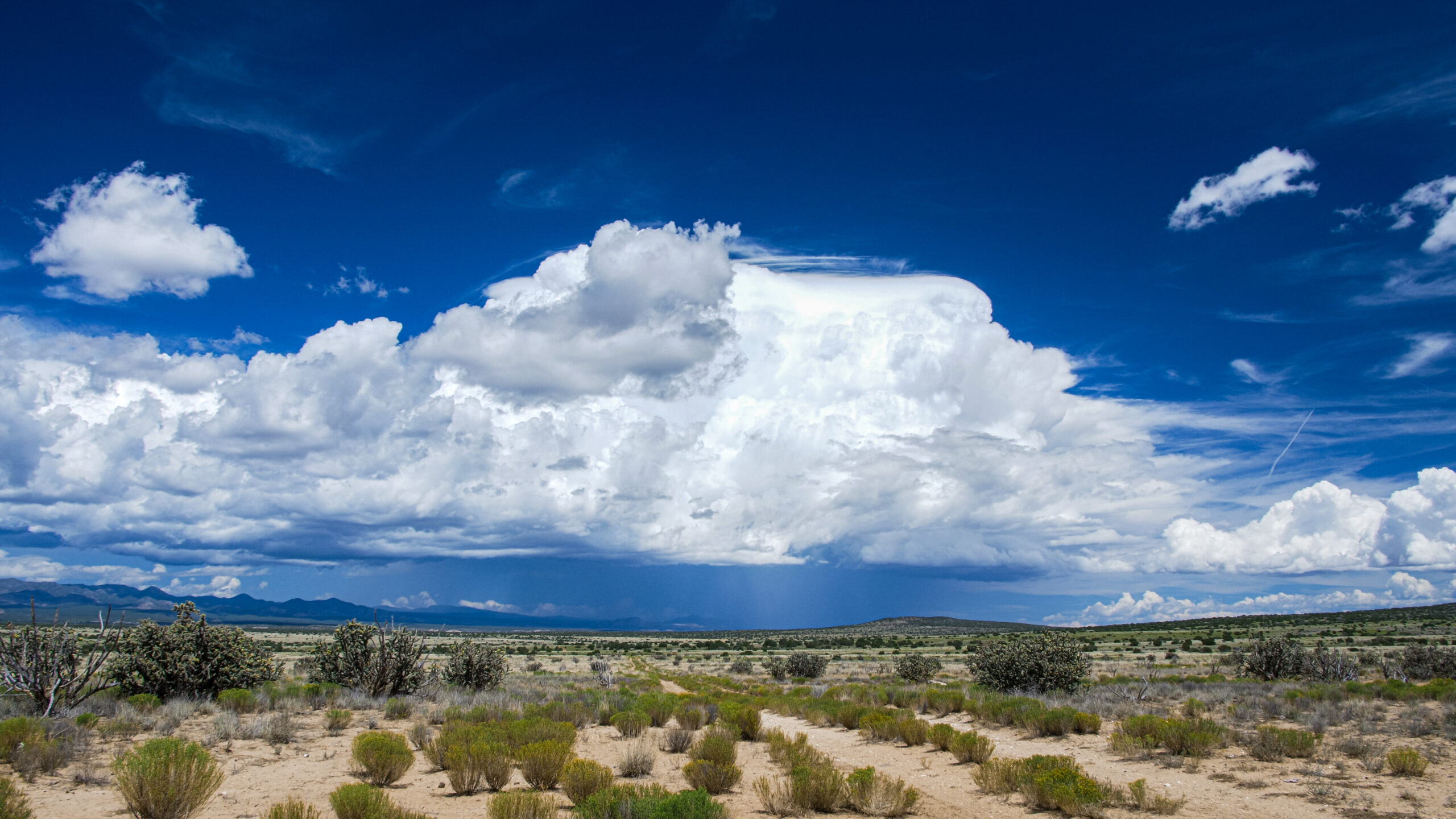 Our Land Segments - New Mexico In Focus